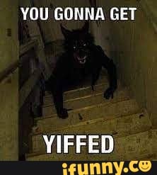 Yiffed memes. Best Collection of funny Yiffed pictures on iFunny