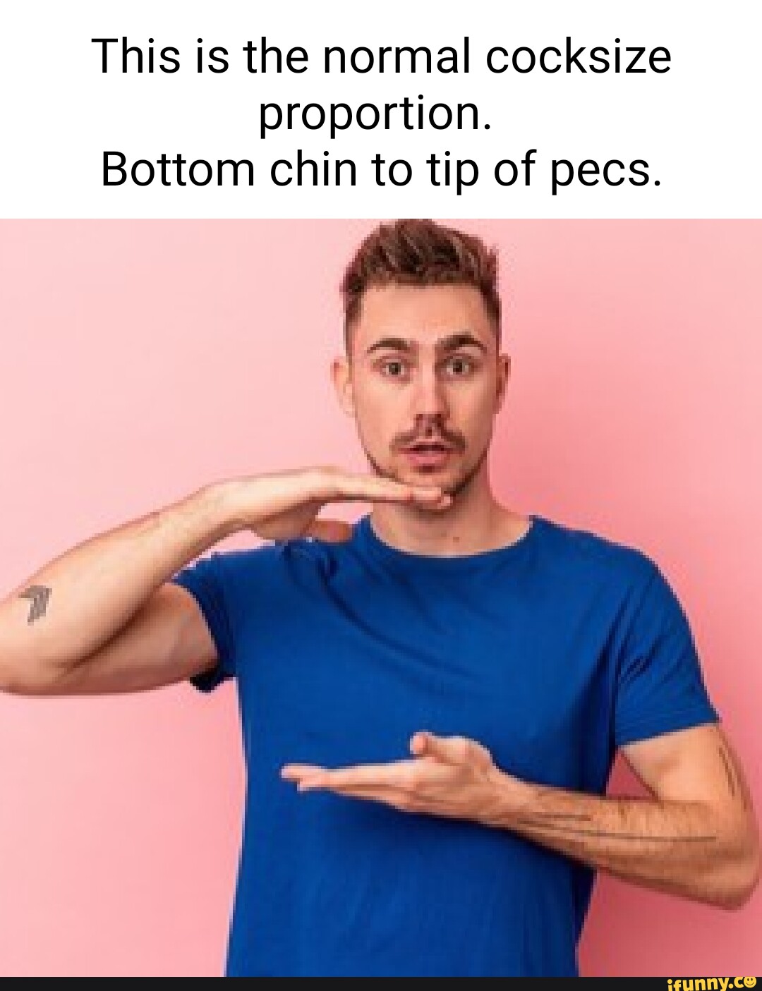 This is the normal cocksize proportion. Bottom chin to tip of pecs. I ...