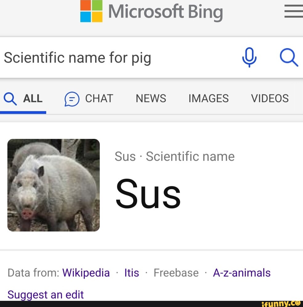 Microsoft Bing = Scientific name for pig Q Q ALL CHAT NEWS IMAGES ...