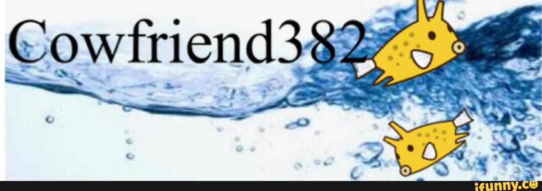 Cowfish memes. Best Collection of funny Cowfish pictures on iFunny