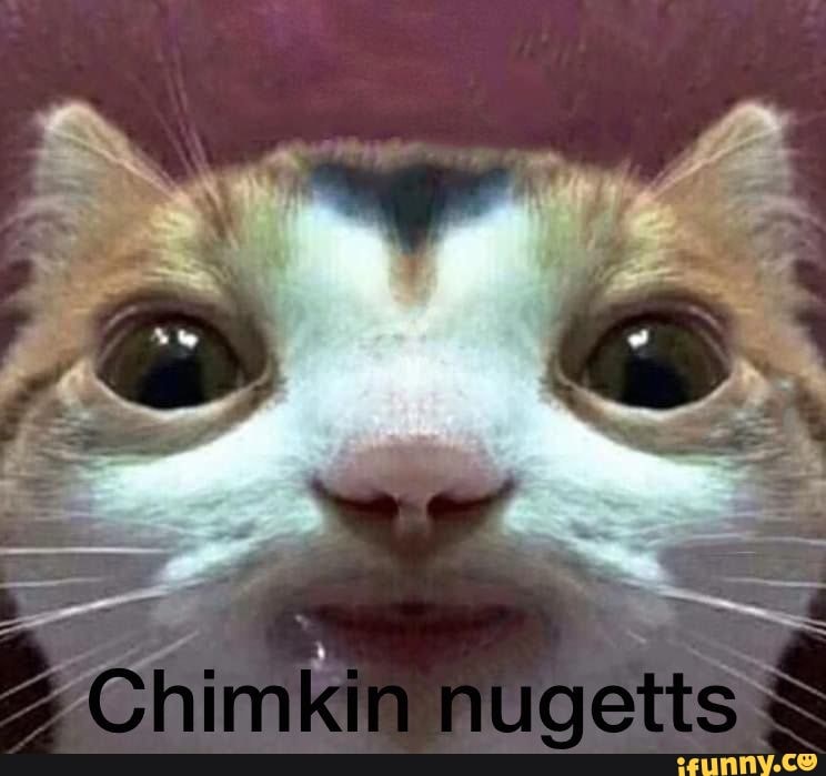 Chimkin memes. Best Collection of funny Chimkin pictures on iFunny