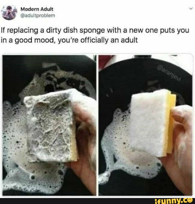 Modern Adult If replacing a dirty dish sponge with a new one puts you ...