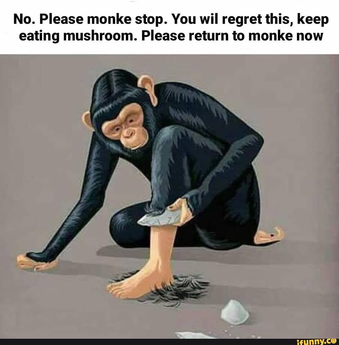 No. Please monke stop. You wil regret this, keep eating mushroom ...