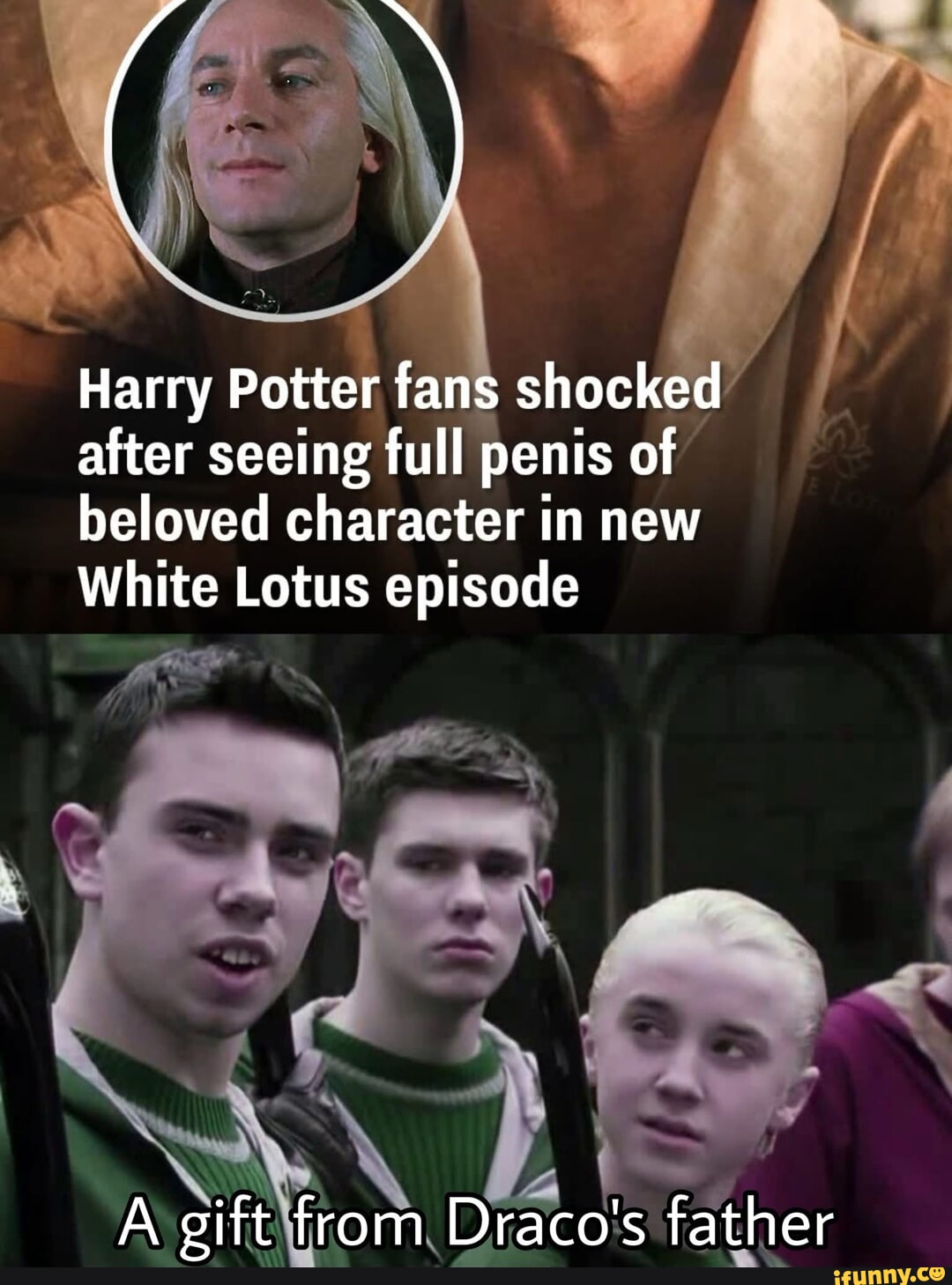 Harry Potter fans shocked after seeing full penis of beloved character ...