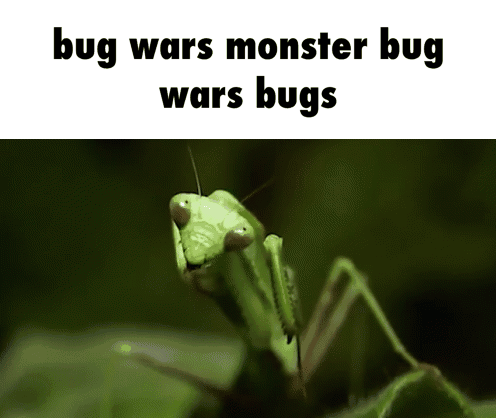 Bug wars monster bug wars bugs - bug wars monster bug wars bugs - iFunny