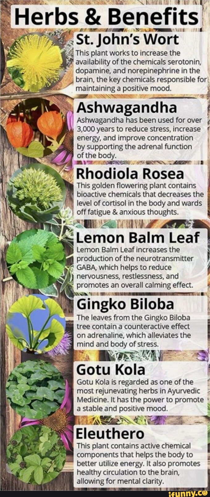 Norepinephrine memes. Best Collection of funny Norepinephrine pictures ...