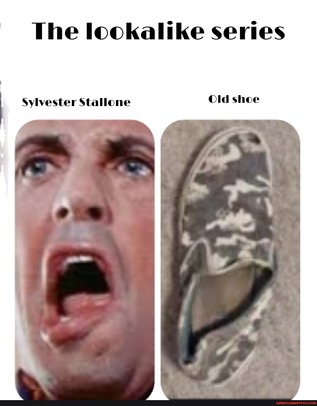 Sylvester Stallone Shoe Memes Sylvester Stallone Memes & GIFs