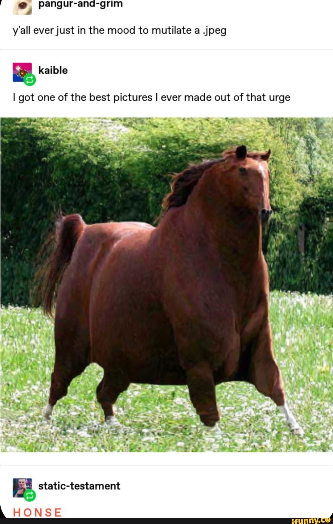 Honse memes. Best Collection of funny Honse pictures on iFunny