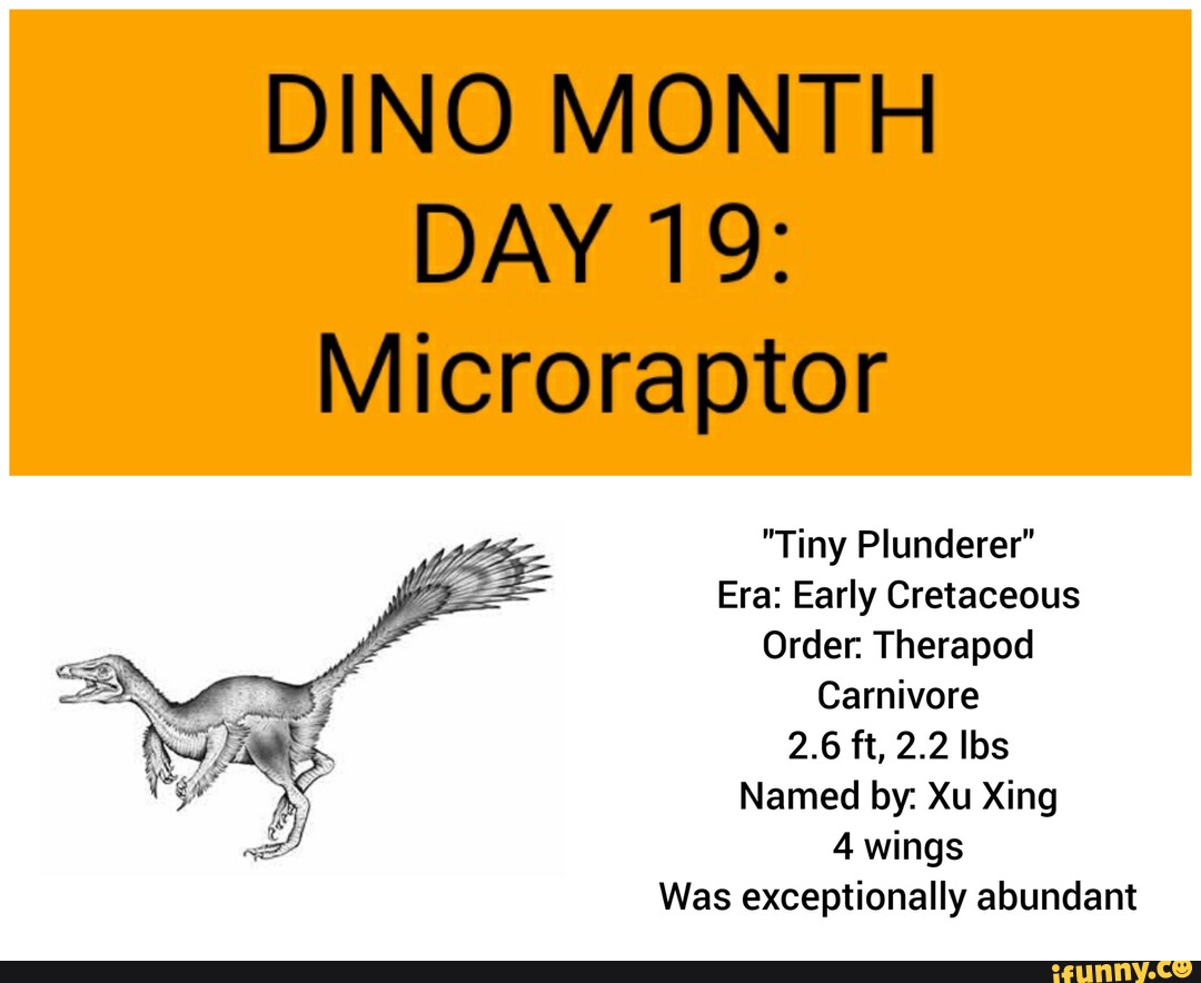 Plunderer memes. Best Collection of funny Plunderer pictures on iFunny