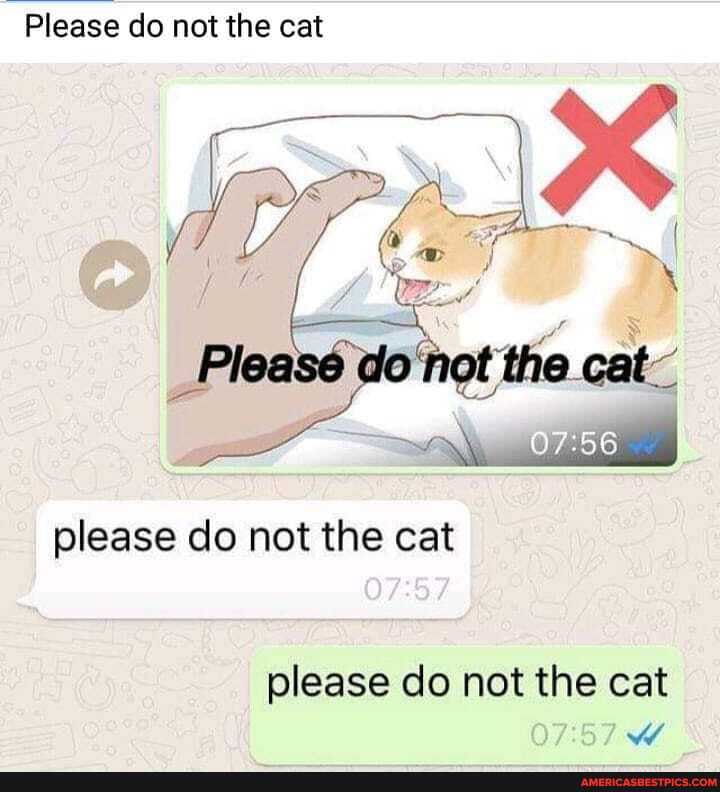 Please do not the cat please do not the cat please do not the cat ...