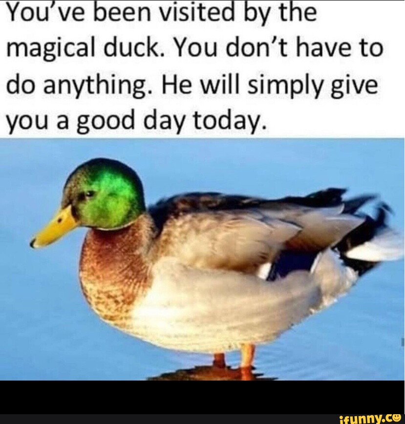 You've been visited by the magical duck. You don't have to do anything ...