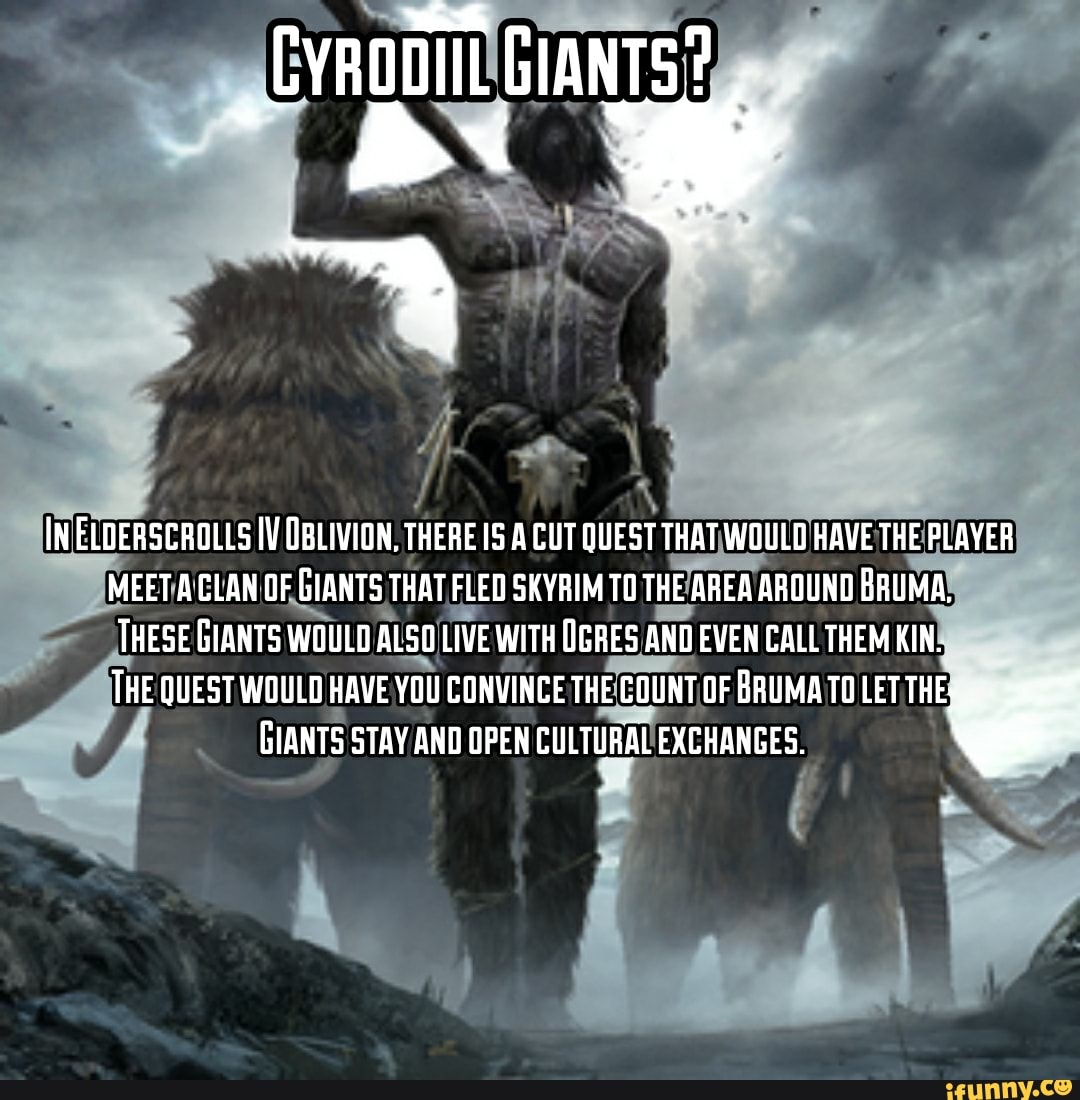 Funny Oblivion Memes