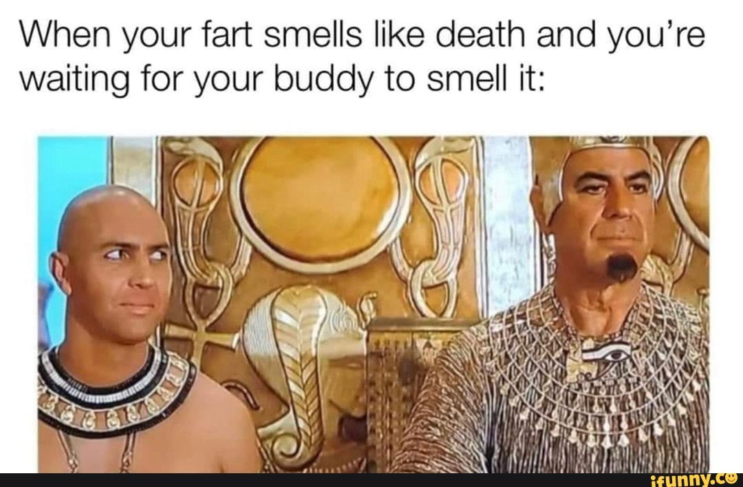 When your fart smells like death and you're waiting for your buddy to ...