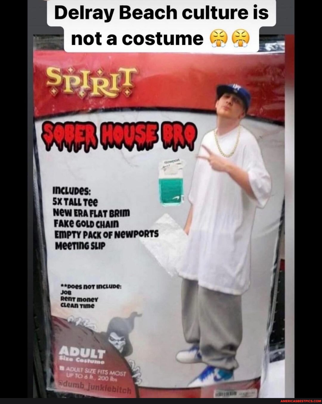 OUR CULTURE IS NOT YOUR PROM DRESS (meme credit @dumb_junkiebitch via ...