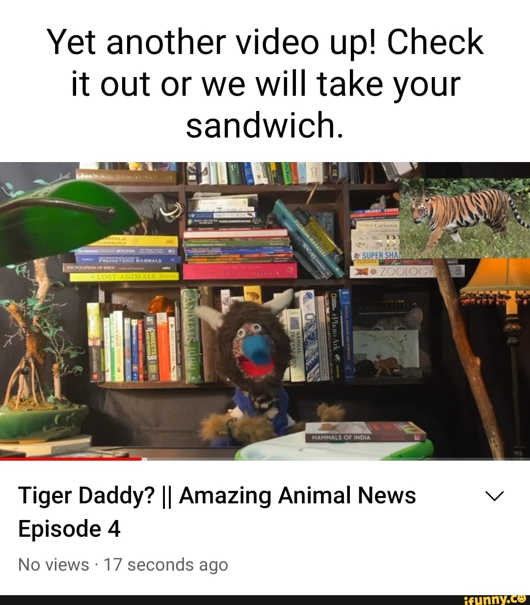 Animalboy memes. Best Collection of funny Animalboy pictures on iFunny