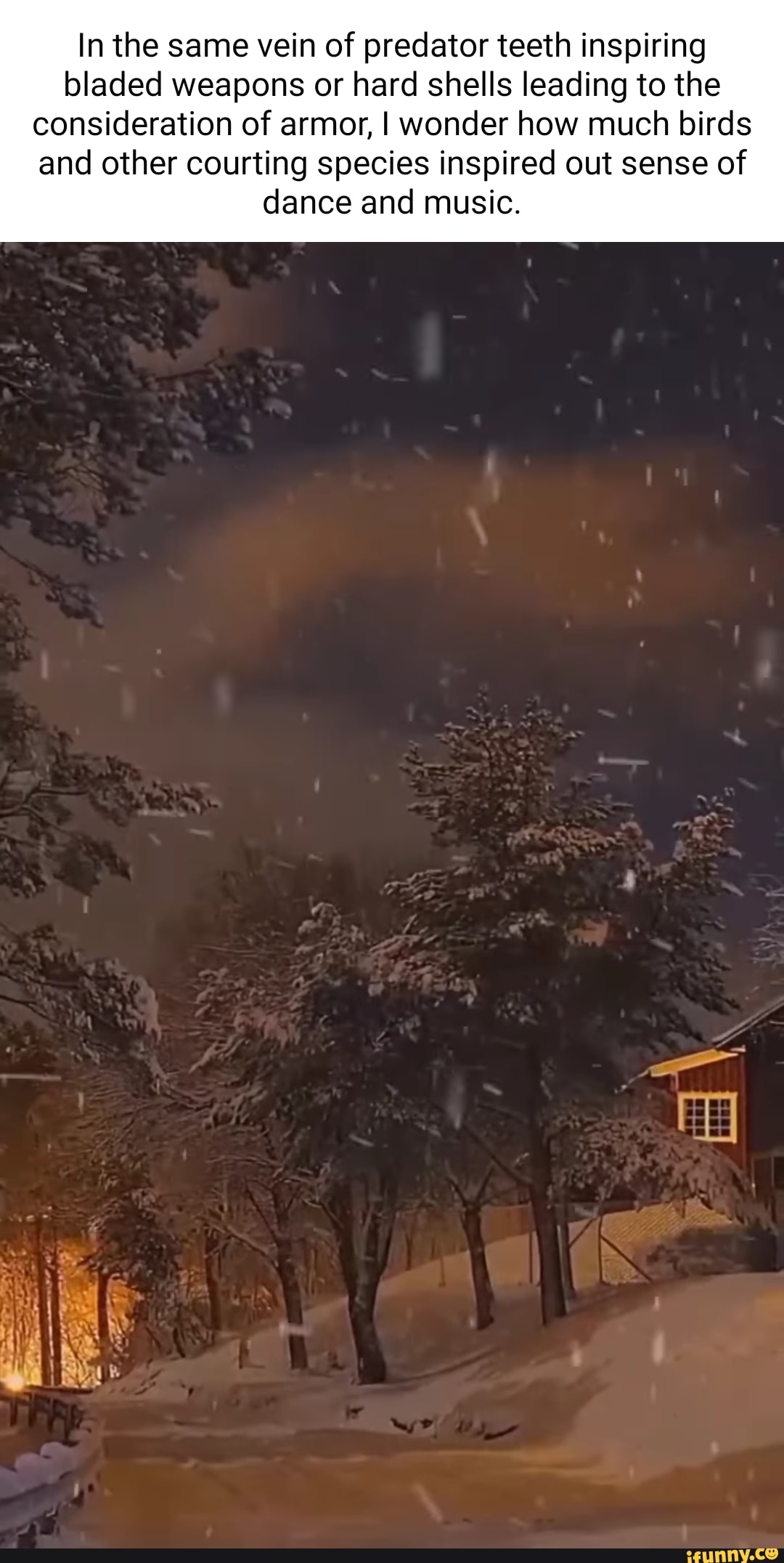 In the same vein of predator teeth inspiring bladed weapons or hard ...