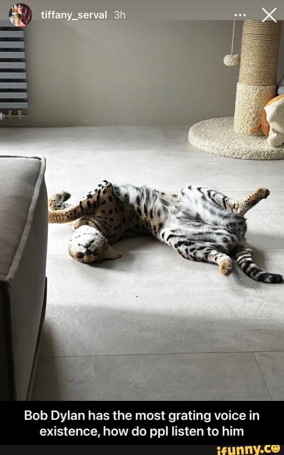 Tiffany_serval Bob Dylan has the most grating voice in existence, how ...