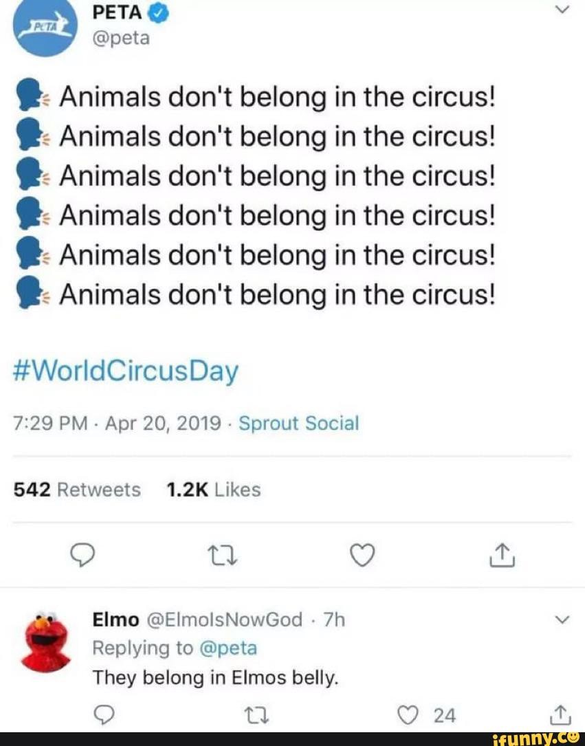 Petaq memes. Best Collection of funny Petaq pictures on iFunny