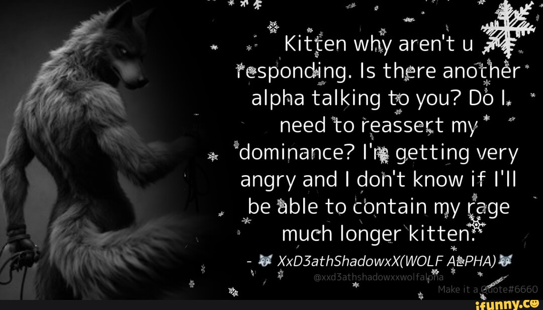 Kitten why aren't responding. Is there another alpha talking to you? Do ...