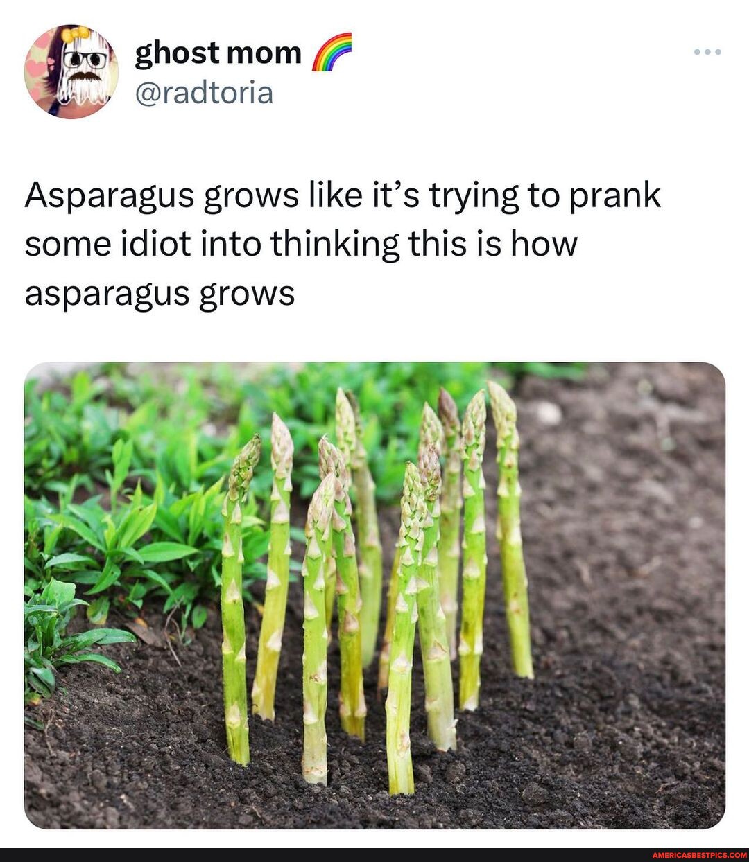 Classic (Twitter: radtoria) - ghost mom @radtoria Asparagus grows like ...