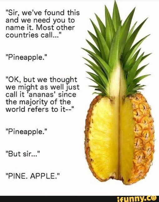 Ananas Pineapple Meme