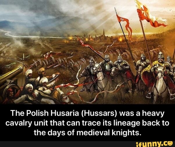 The Polish Husaria (Hussars) was a heavy cavalry unit that can trace ...