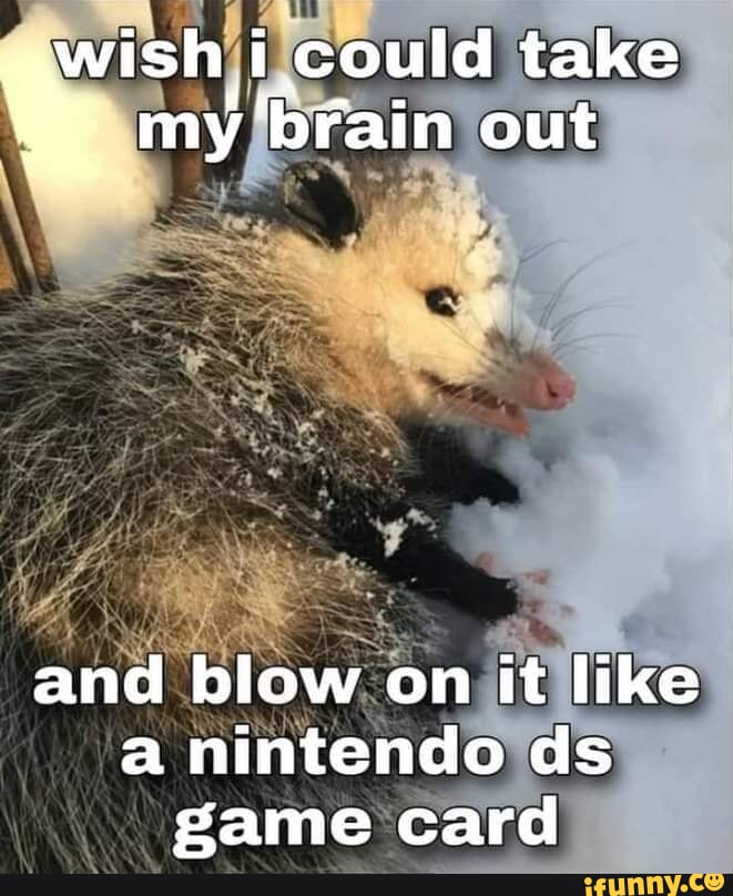 Wish i could take my 'brain cut and blow on it like a nintendo ds game ...