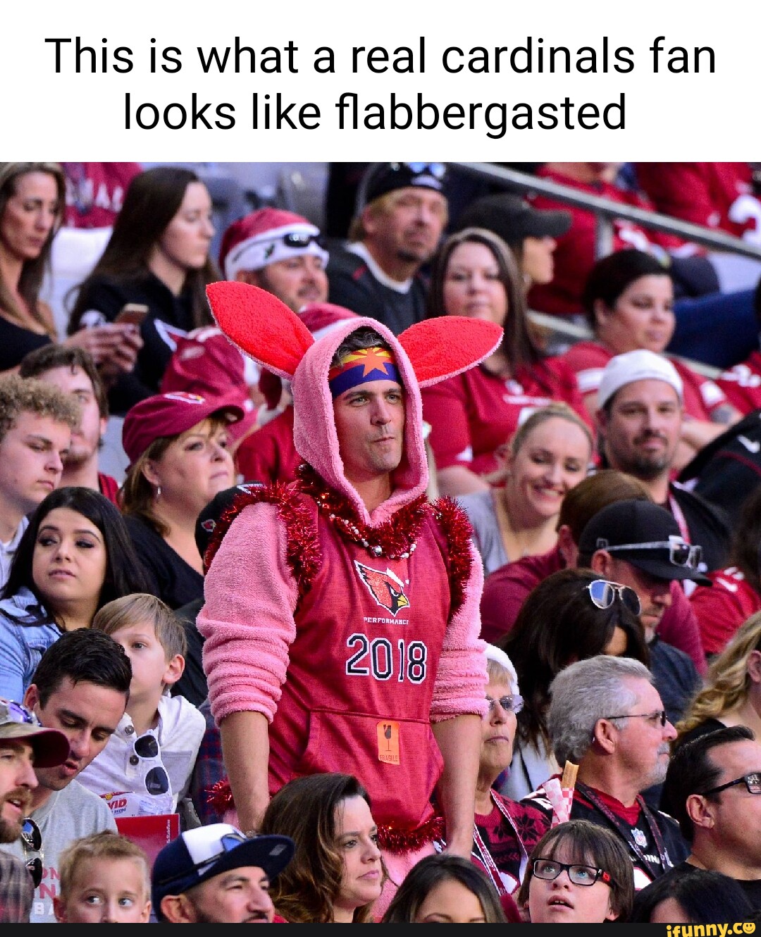 This is what real cardinals fan looks like flabbergasted - iFunny