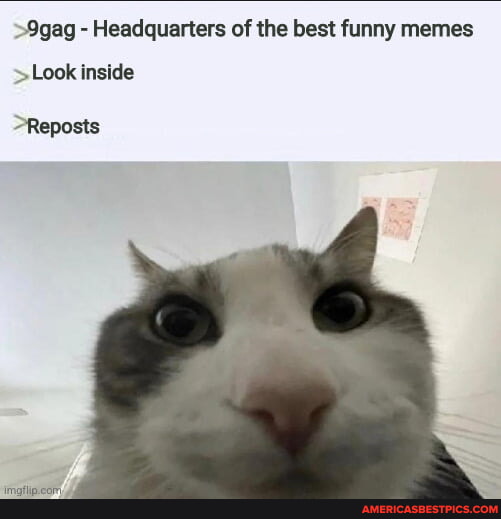 >9gag - Headquarters of the best funny memes Look inside Reposts ...