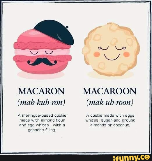 Macaron memes. Best Collection of funny Macaron pictures on iFunny