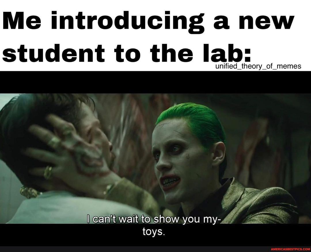 Me introducing a new unified theory of memes student to the lab: I can ...