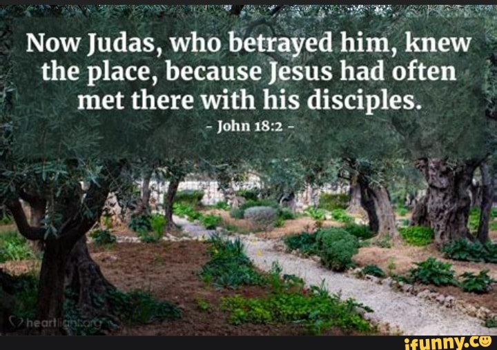 Now Judas, who betrayed him, knew the place, because Jesus had often ...