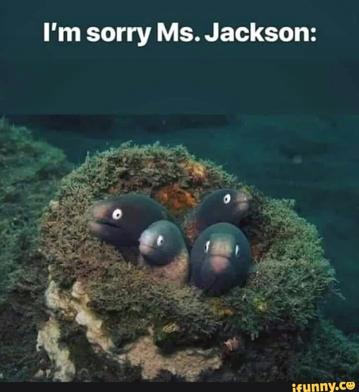 I'm sorry Ms. Jackson - iFunny