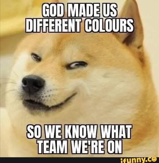 GOD MADE US DIFFERENT COLOURS WE KNOW WHAT TEAM WE'RE ON - iFunny