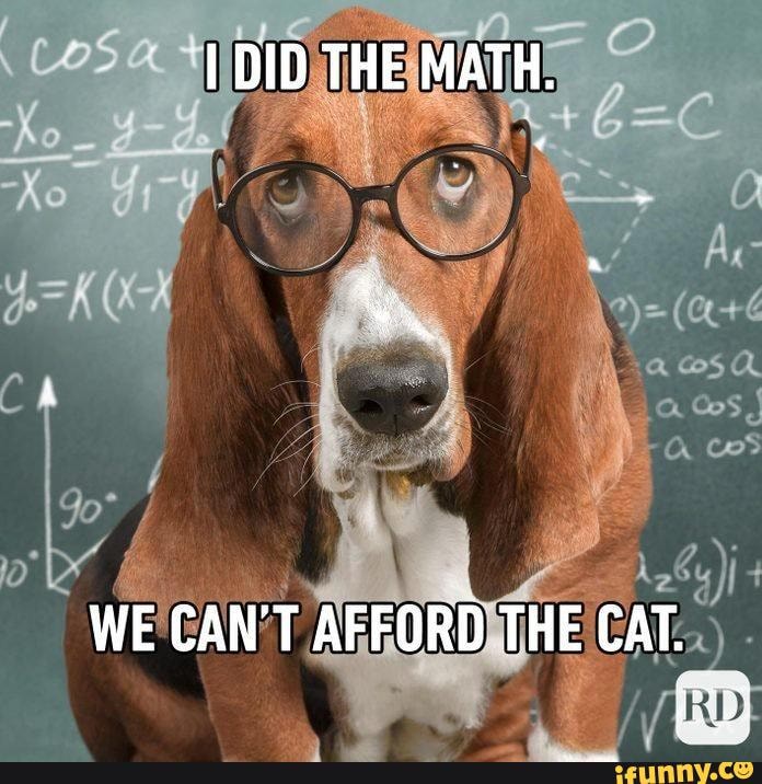 Ofcourse - DID THE MATH. WE CAN'T AFFORD THE CAT. - iFunny