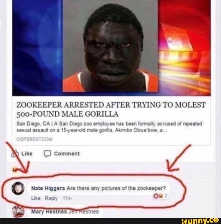 Akimbo memes. Best Collection of funny Akimbo pictures on iFunny