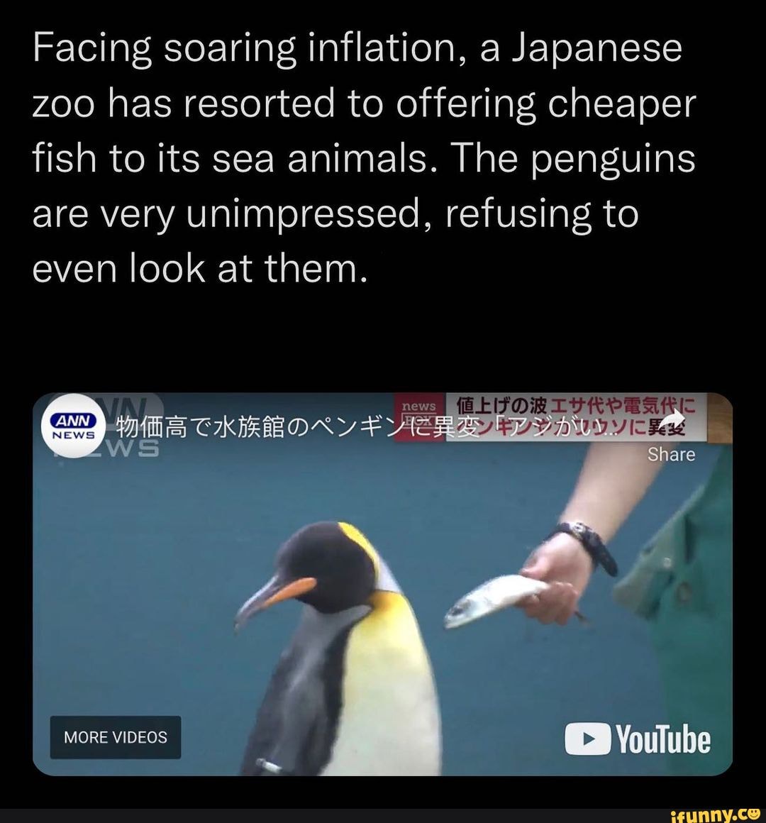 Facing soaring inflation, a Japanese zoo has resorted to offering ...