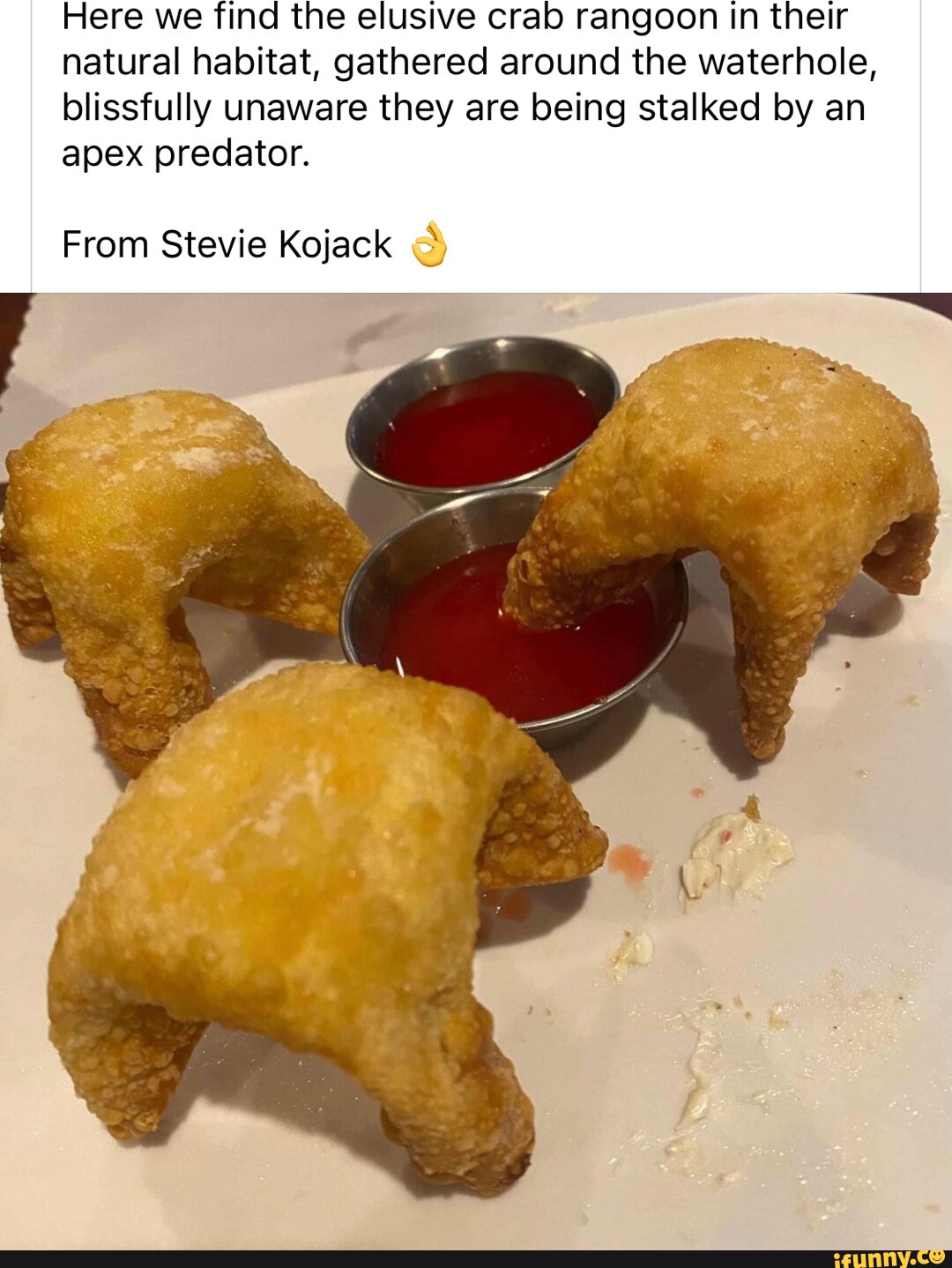 Stevie memes. Best Collection of funny Stevie pictures on iFunny