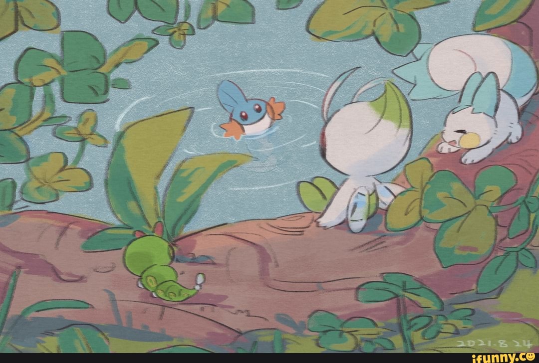 Pachirisu memes. Best Collection of funny Pachirisu pictures on iFunny