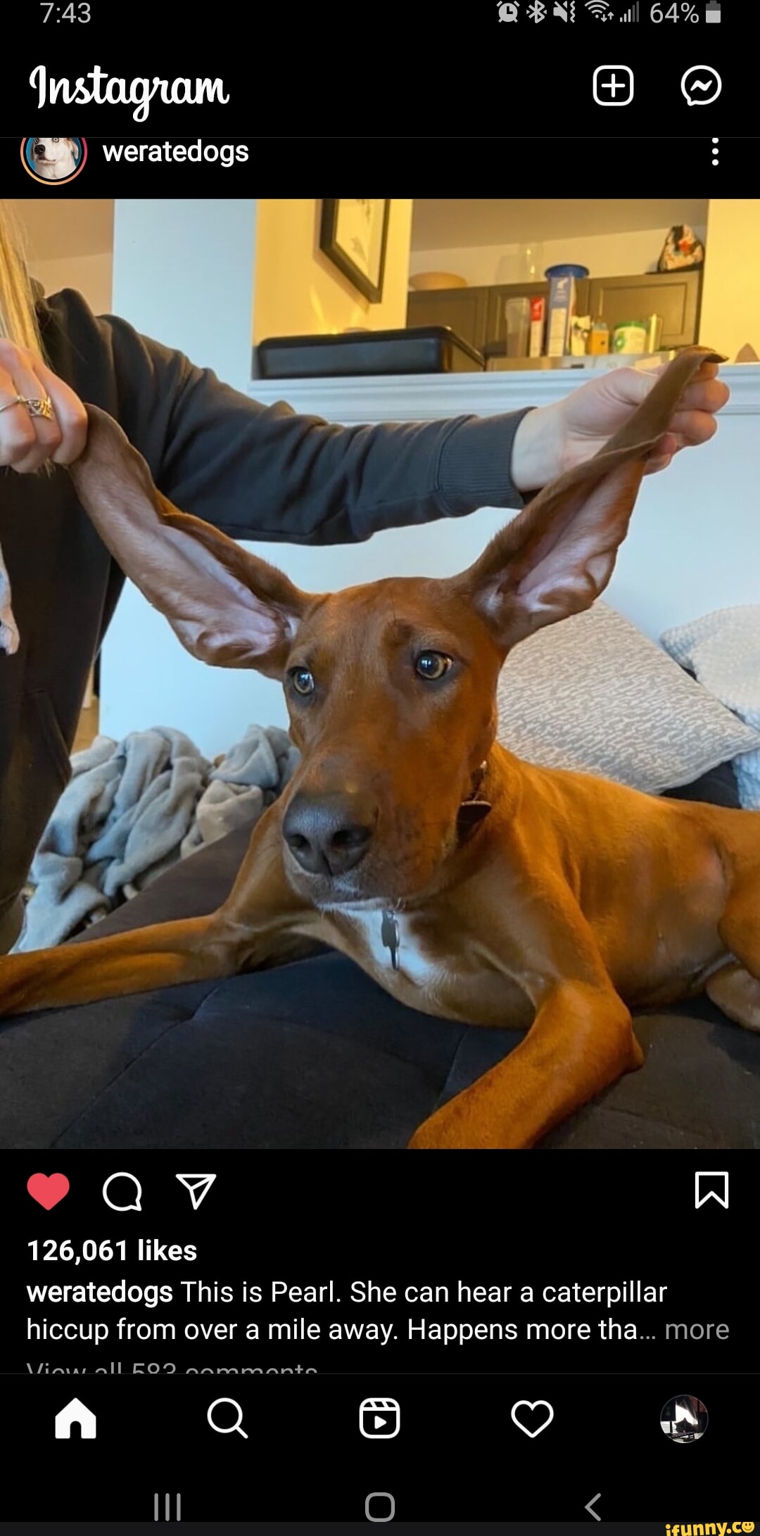 Hiccup memes. Best Collection of funny Hiccup pictures on iFunny