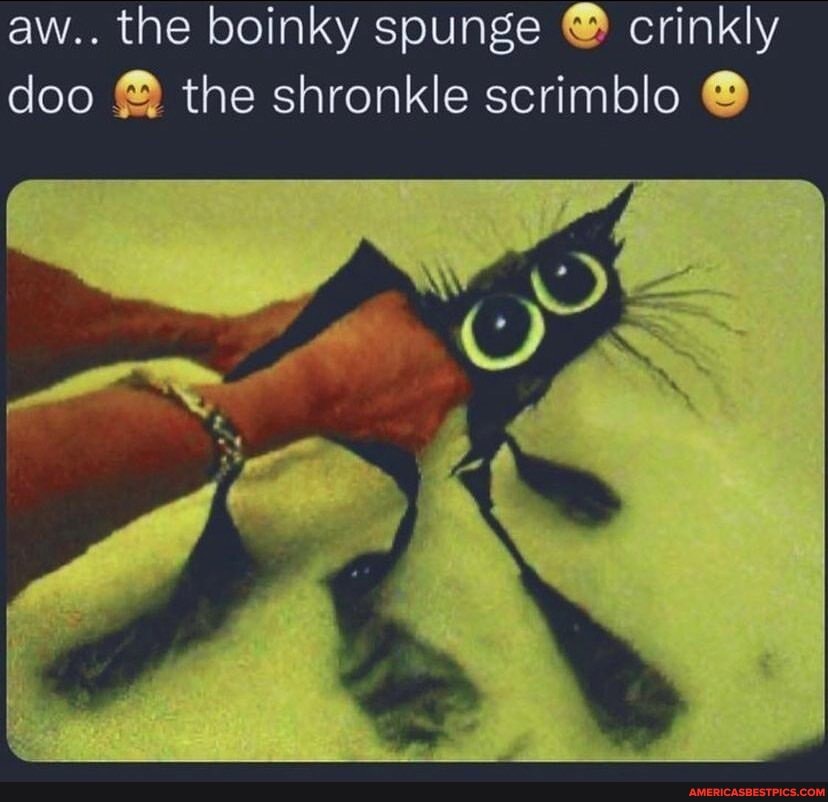 Aw.. the boinky spunge crinkly doo the shronkle scrimblo - America’s ...