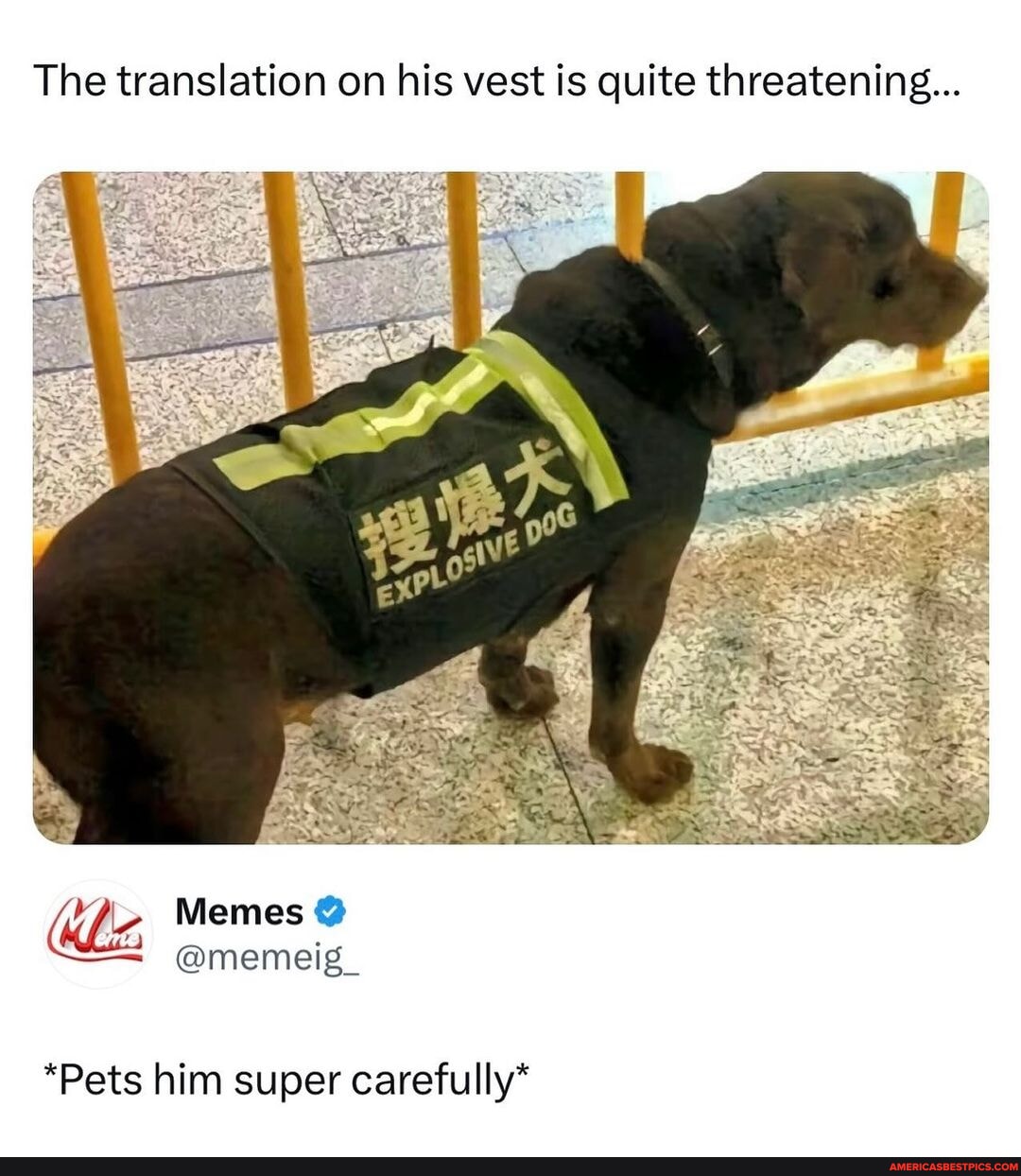 Please dont explode memes explore funny - The translation on his vest ...