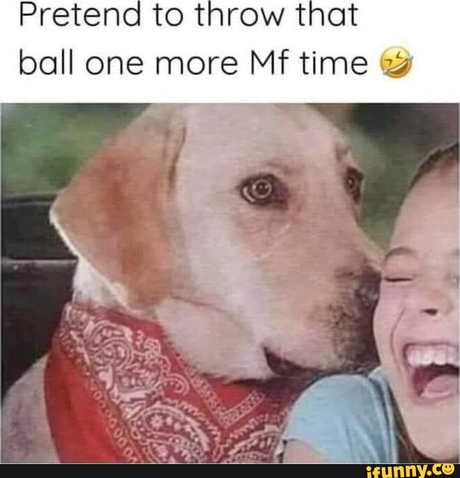 Pretend to throw that ball one more Mf time - iFunny