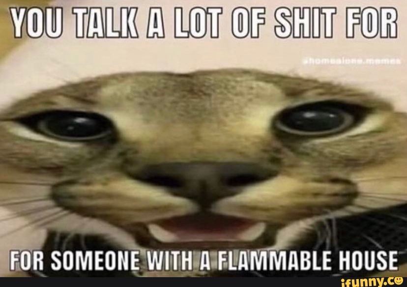 YOU TALK A LOT OF SHIT FOR FOR SOMEONE WITH A FLAMMABLE HOUSE - iFunny