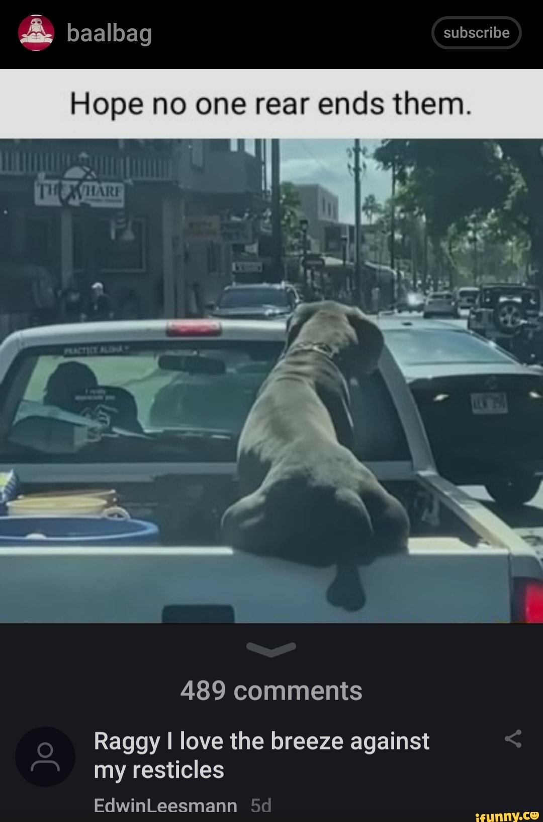 Baalbag memes. Best Collection of funny Baalbag pictures on iFunny