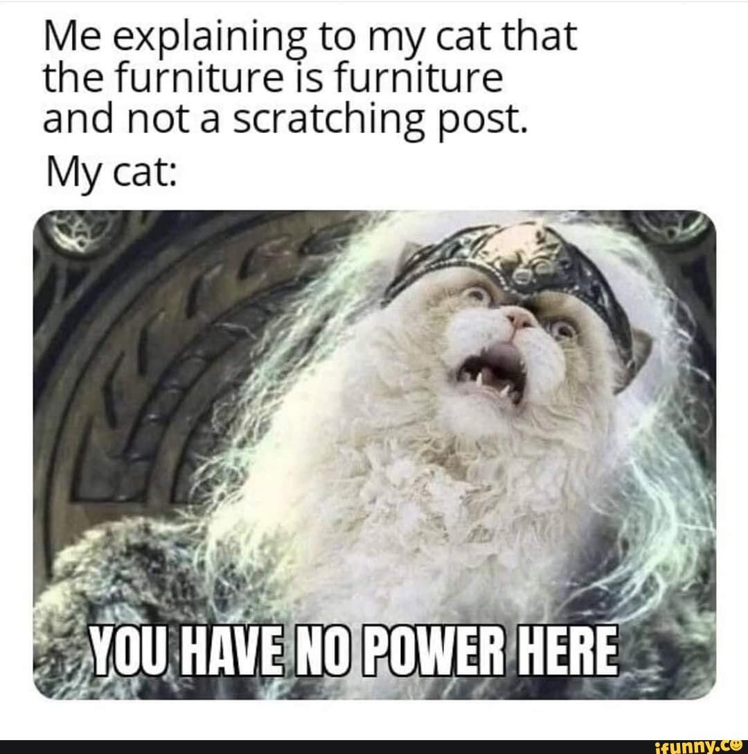 You Have No Power Over Me Meme