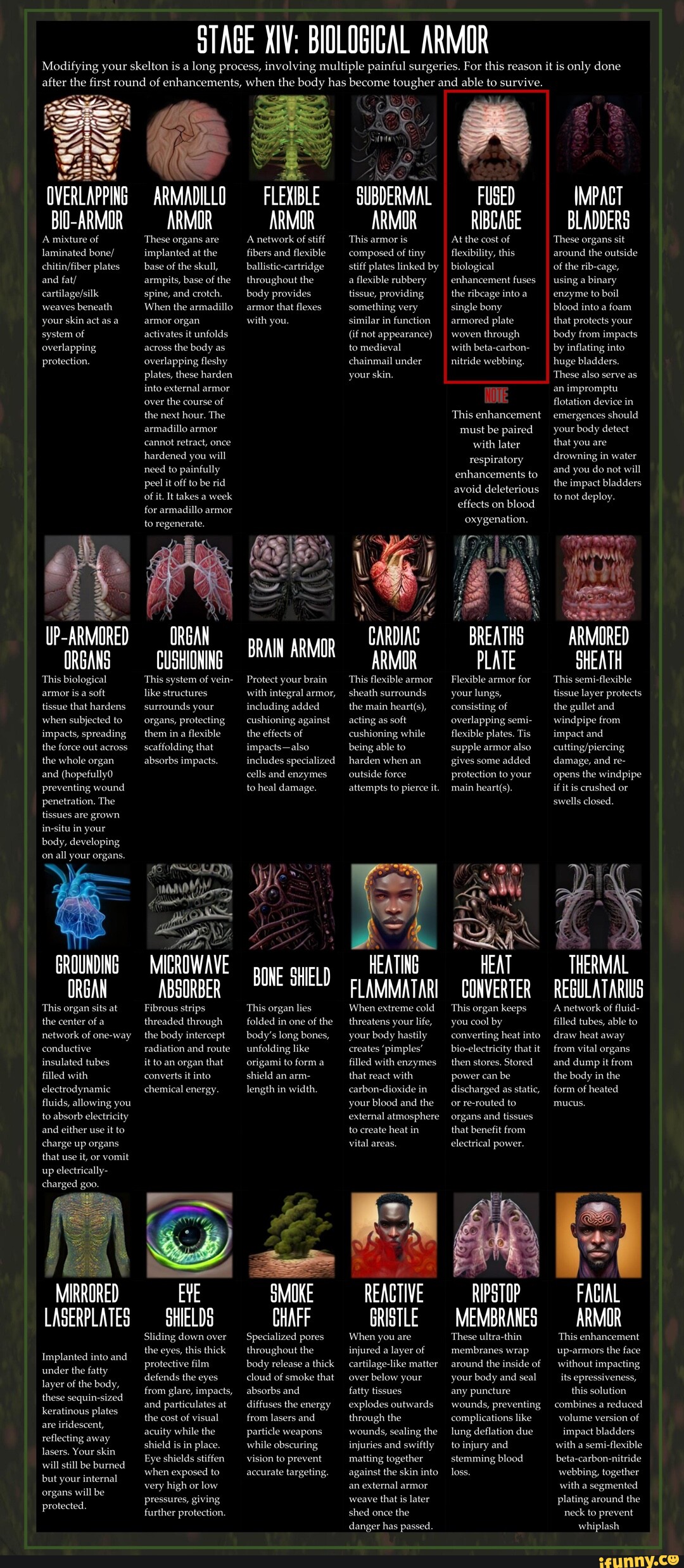 STAGE XIV: BIOLOGICAL ARMOR Modifying your skelton is a long process ...