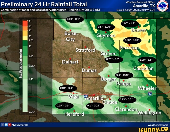 Wellington memes. Best Collection of funny Wellington pictures on iFunny