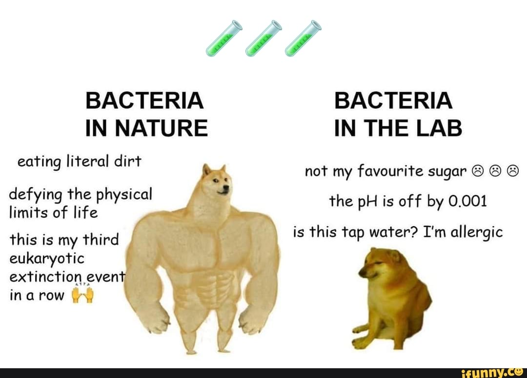 Eukaryotic memes. Best Collection of funny Eukaryotic pictures on iFunny