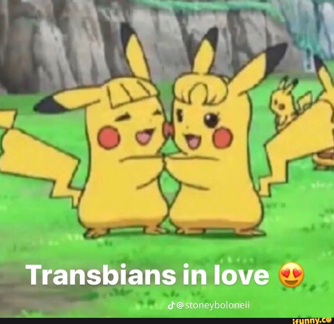 Transbians memes. Best Collection of funny Transbians pictures on iFunny